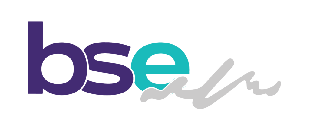 BSE – Business School of Excellence – Namibia’s online learning ...